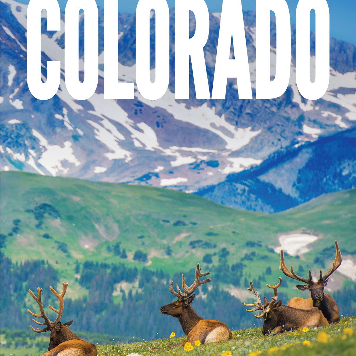 Nature Of Colorado – Neptune Mountaineering